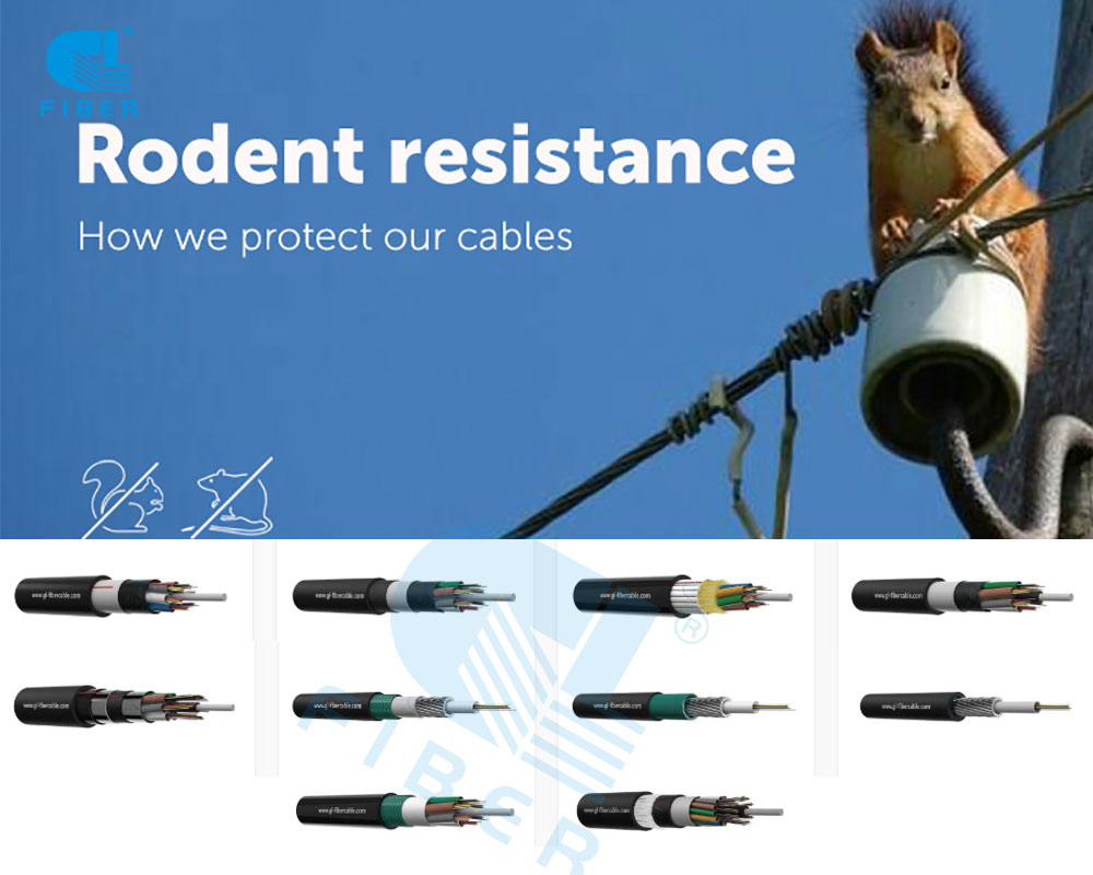 News - Defending Your Network: The Ultimate Guide to Anti-Rodent Fiber ...